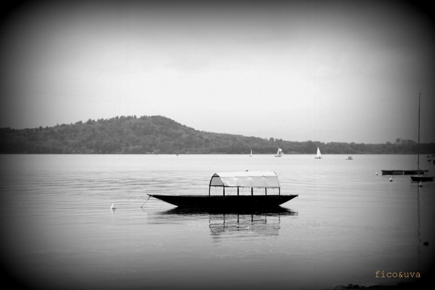 Coregone in verde su nido di agretti - Fico e Uva